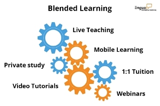 LinguaTV.com | The Benefits of Blended Learning in Language Learning