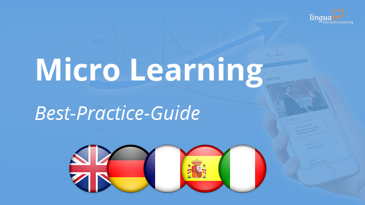 LinguaTV.com | Micro Learning - Best-Practice-Guide